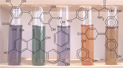 Prof. Blumes Medienangebot: Die Chemie der Phenole
